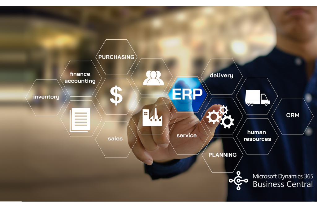 Comprehensive ERP Support for Seamless Operations - Robosol Software